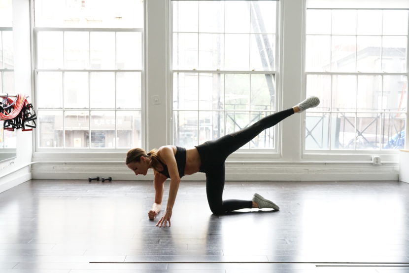 modelFIT – the model of FITness